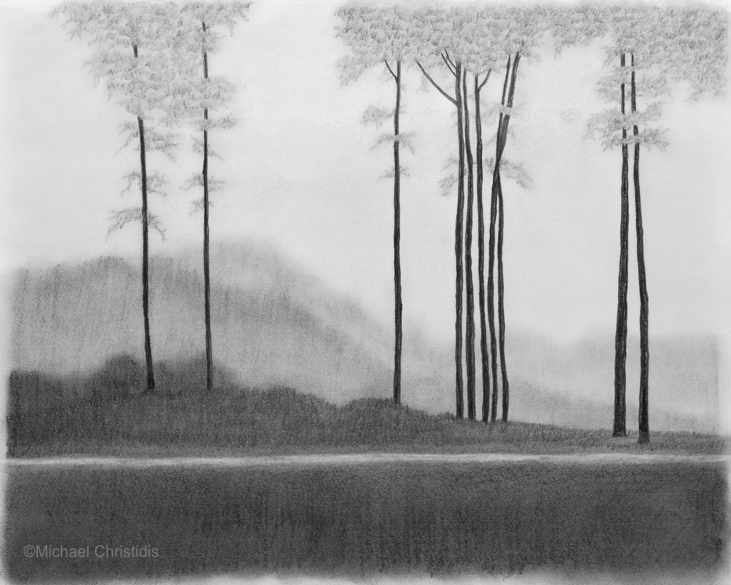 2006 - Arbor Conopeum = Tree Canopy in Latin. - Michael Christidis Art